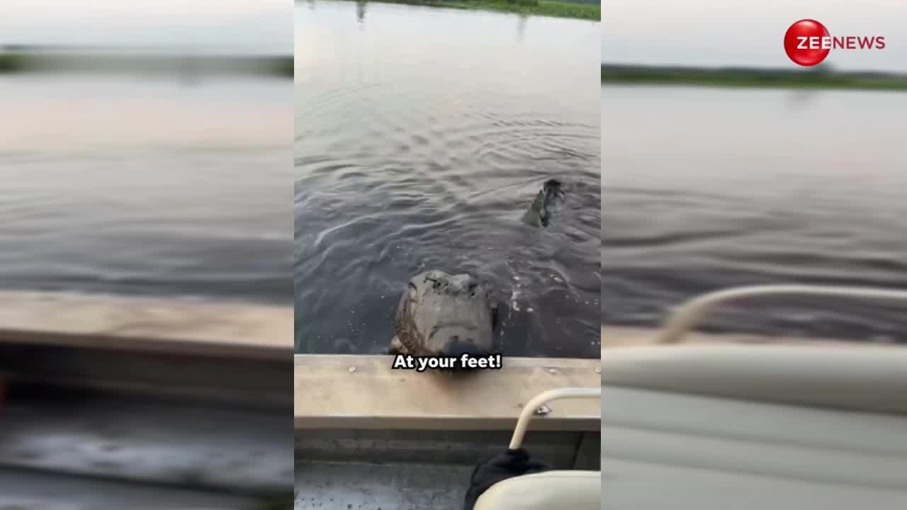 massive alligator scared passengers on boat when it tried to climb ...