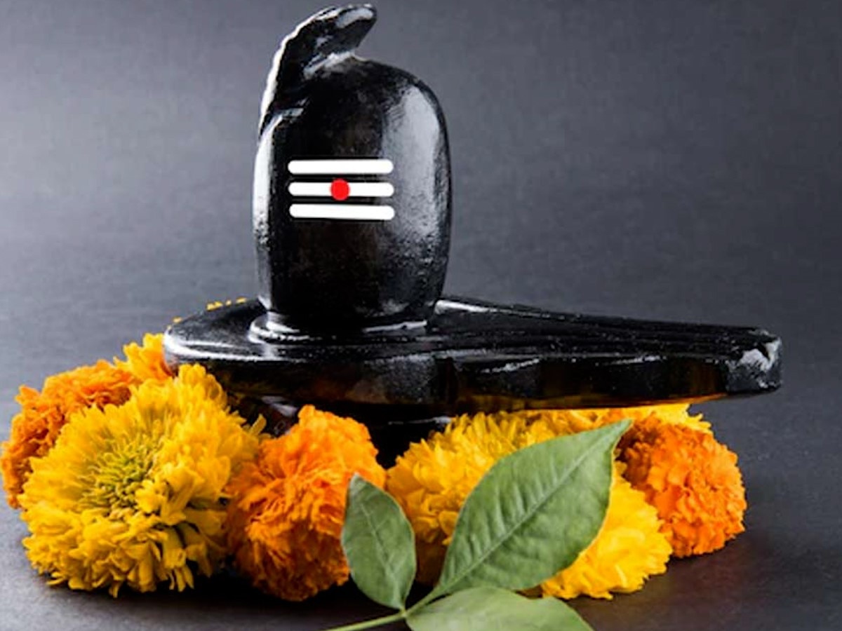 sawan 2023 shivling at home know these niyam and do not make these ...