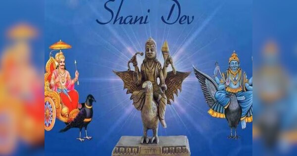 peepal shami ka paudha These plants considered dear to Shani Dev luck ...