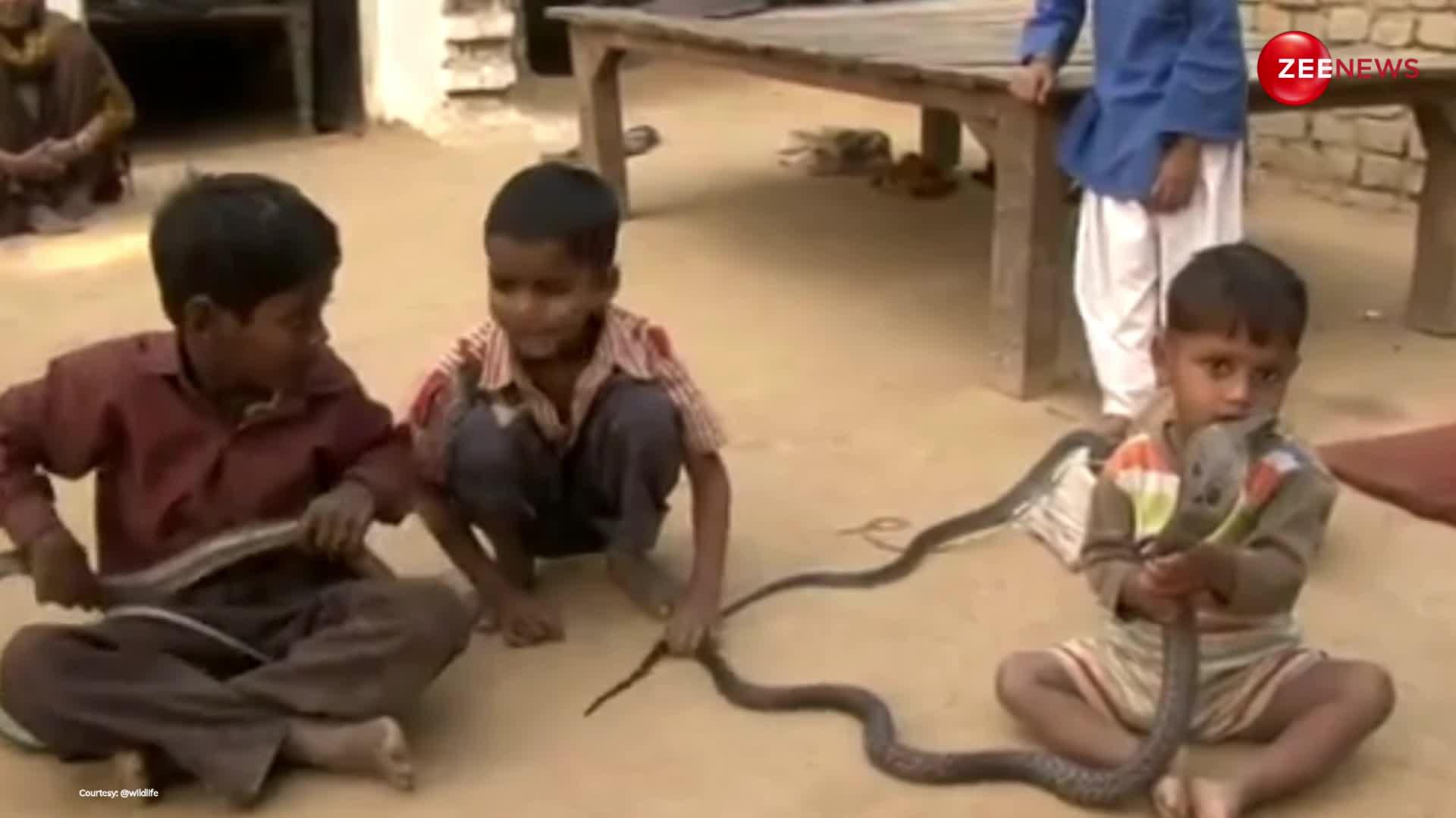 indian kids play with real life snakes fight like brother sister saanp ...
