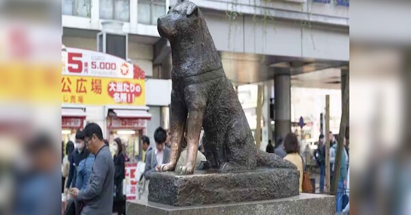 Story of Hachiko The dog waited for its owner at the railway station ...