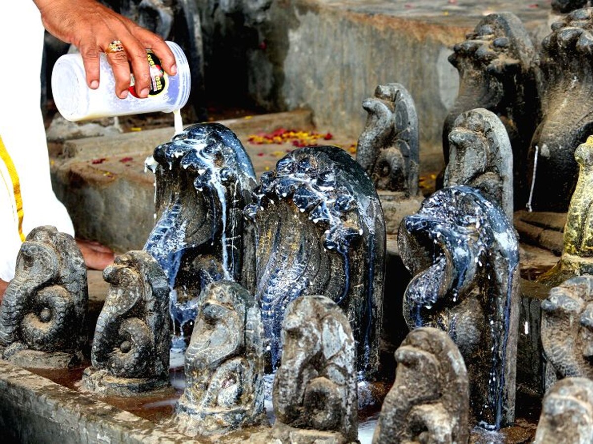 नागपंचमी की तारीख को लेकर है उलझन? जानें सही तारीख और पूजा का मुहूर्त ...