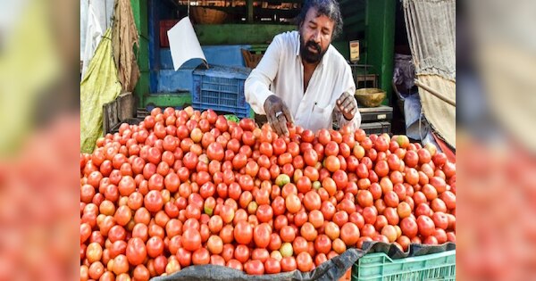 Tomato prices increased and reach Rs 140 per kg in Delhi-NCR | Delhi-NCR में टमाटर की कीमतों में ...