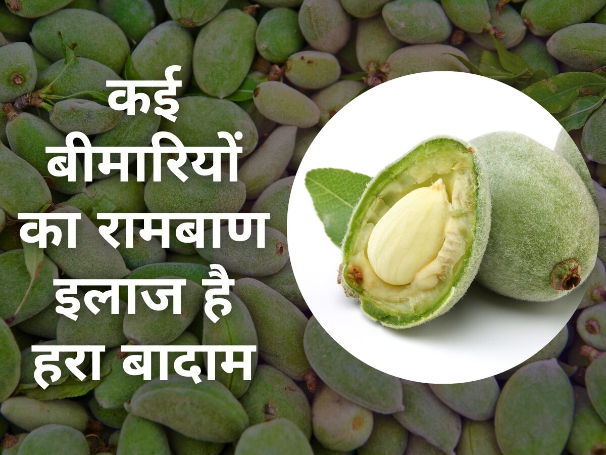 Have you ever eaten green almonds which can cure many diseases green ...