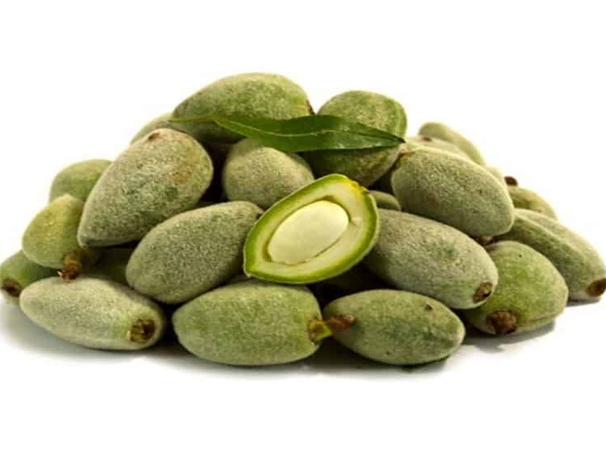 Health News Benefits of Green Almonds hare badam khane ke fayde | हर ...