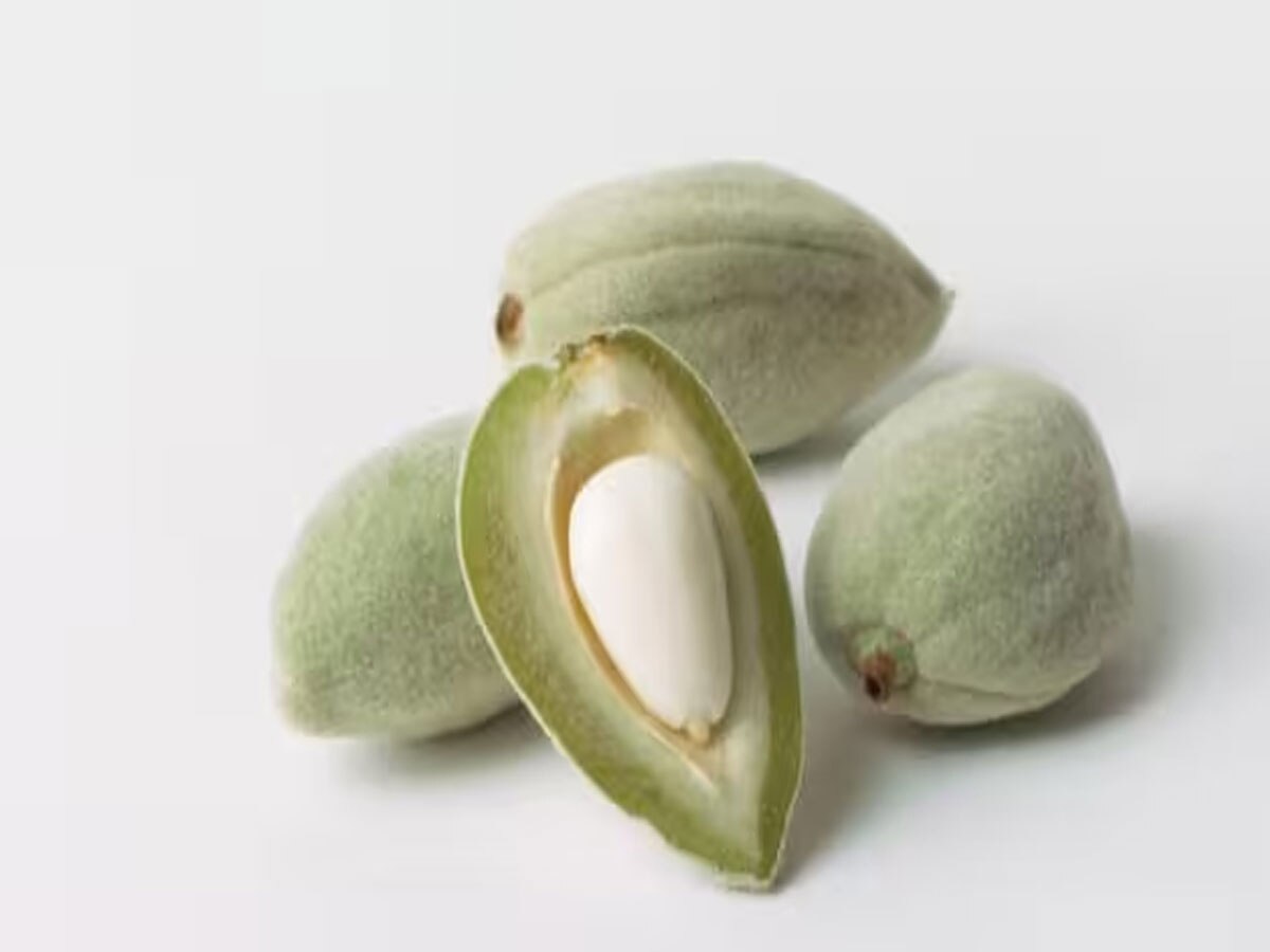 Health News Benefits of Green Almonds hare badam khane ke fayde | हर ...