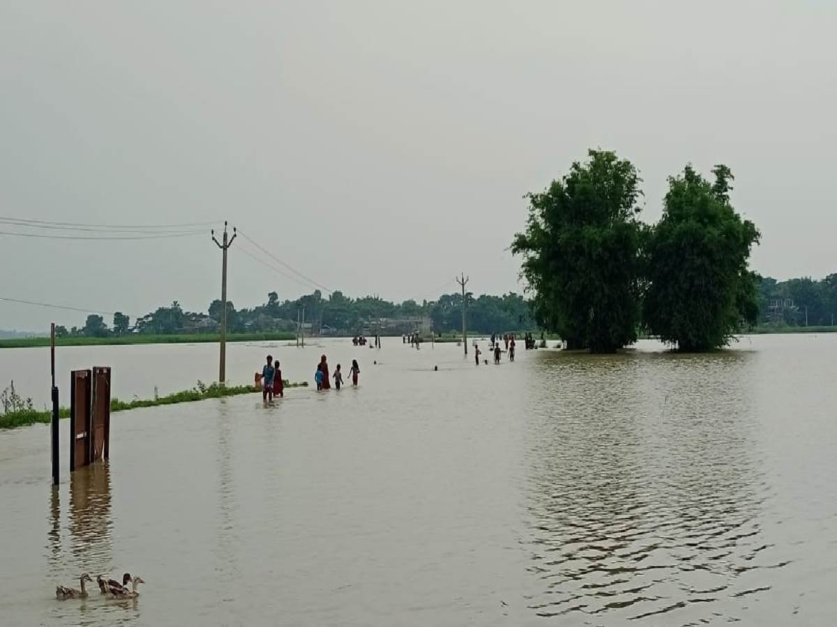 Kishanganj in danger zone due to erosion of Mahananda river rise in ...