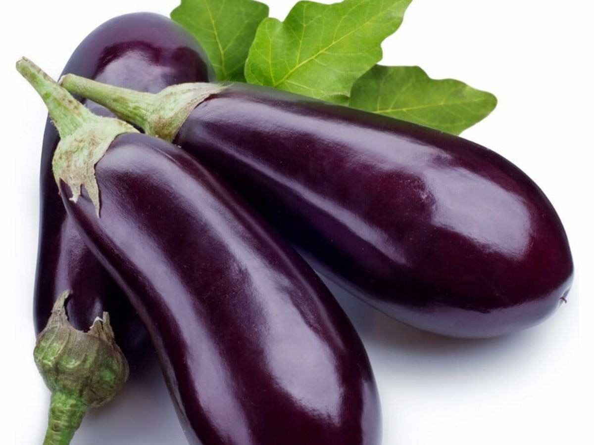 Side Effects Of Baingan these people should not eat brinjal is ...