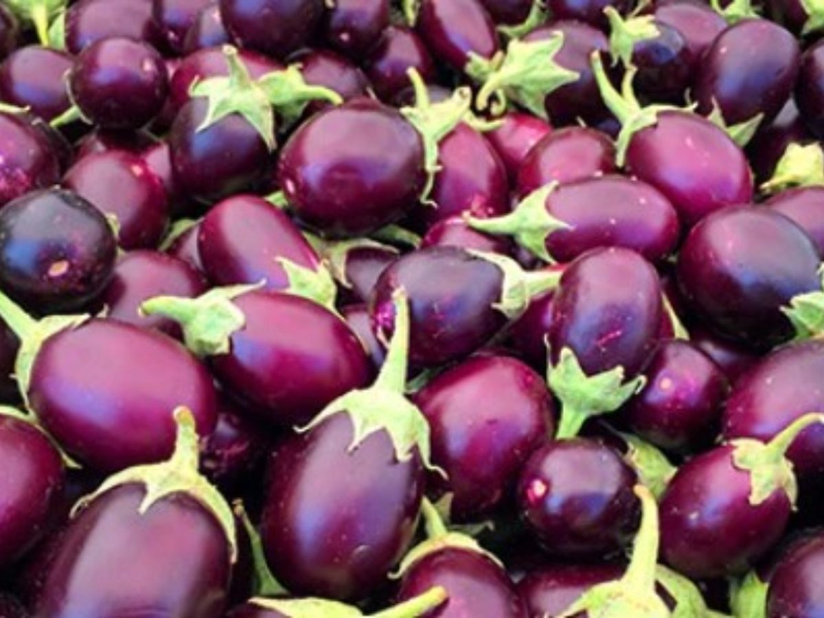 Side Effects Of Baingan these people should not eat brinjal is ...