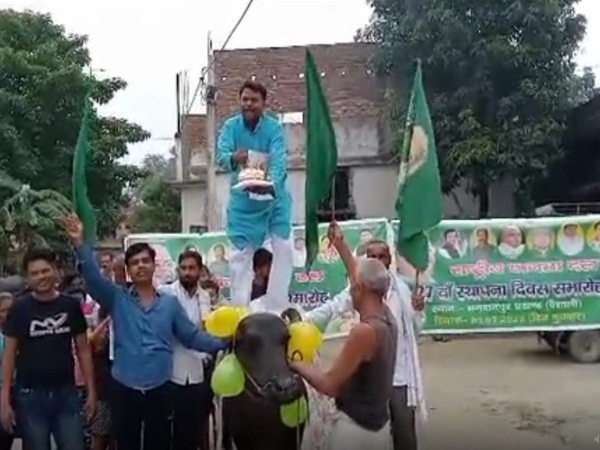 RJD 27th foundation day cake was cutting above buffalo when he fell ...