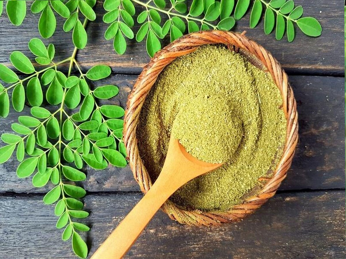 Lifestyle News benefits moringa leaves for control hair fall| बालों में ...