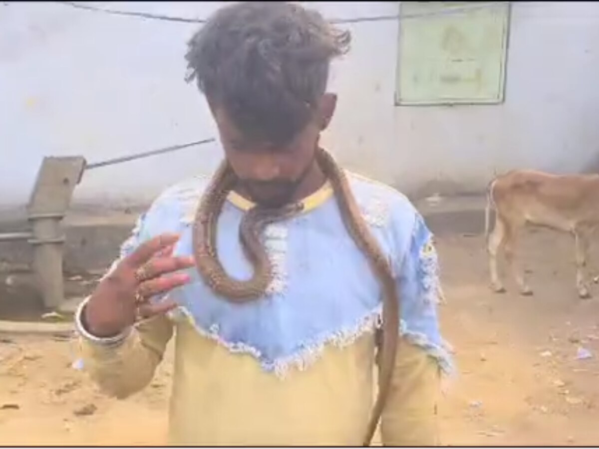 King Cobra around his neck person walked in sawan 2023 watch video ...