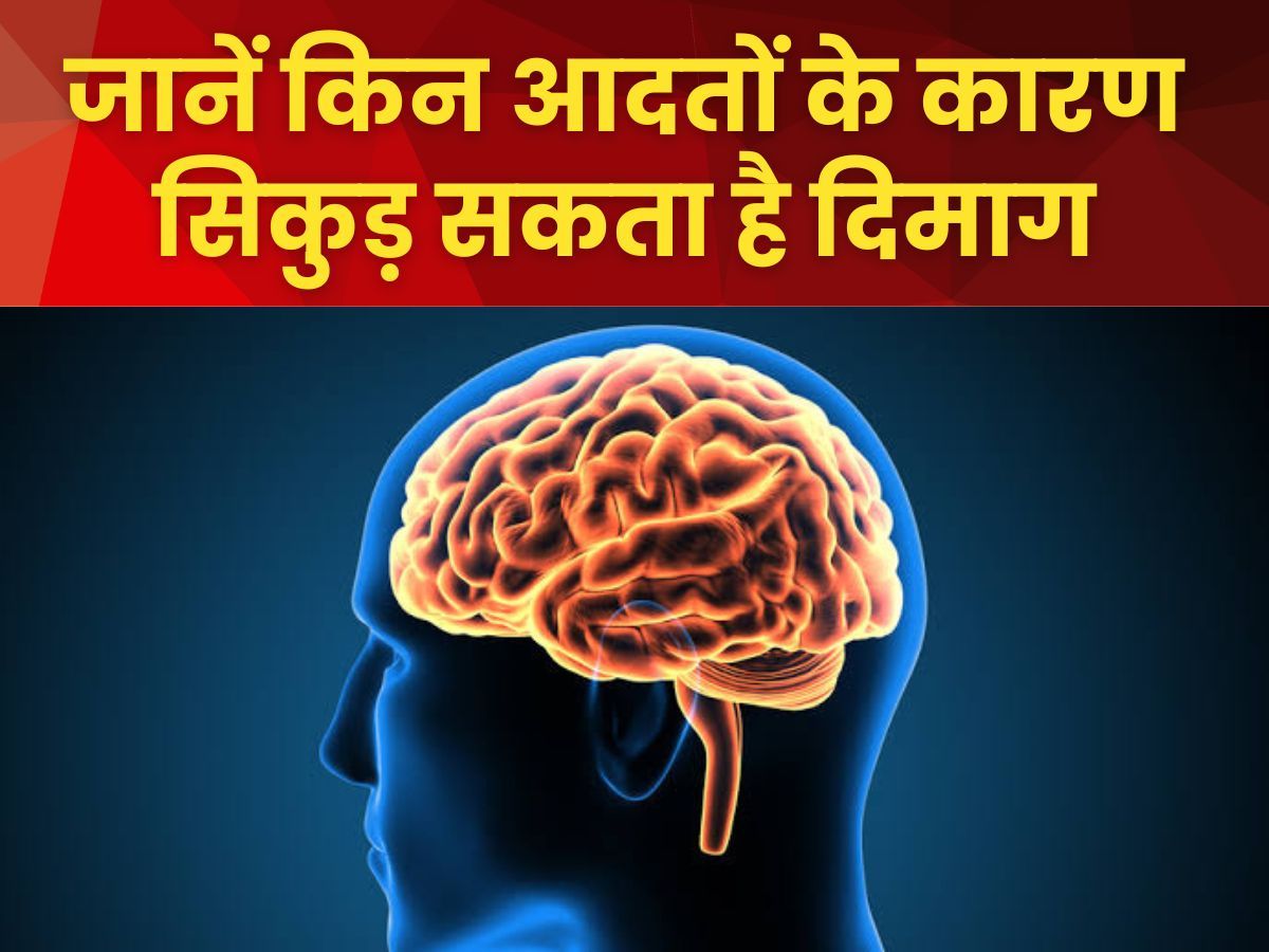 know what is brain shrinking because of these habits your brain can ...