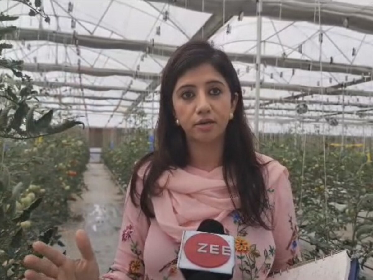 Panipat agriculture news gunjan bhatia finance degree from London ...