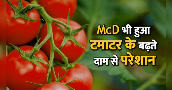 Mcdonalds Has Stopped Using Tomatoes In Its Burgers Due To Increase