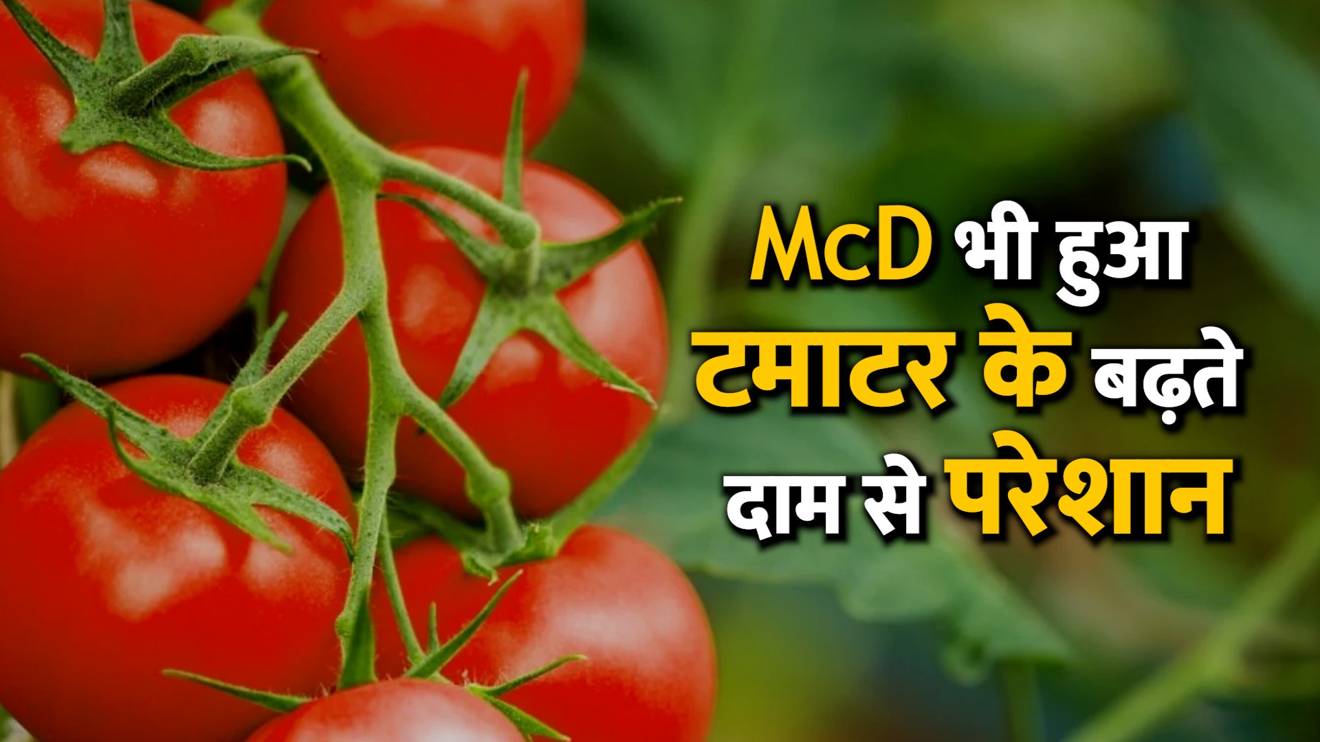 Mcdonalds Has Stopped Using Tomatoes In Its Burgers Due To Increase