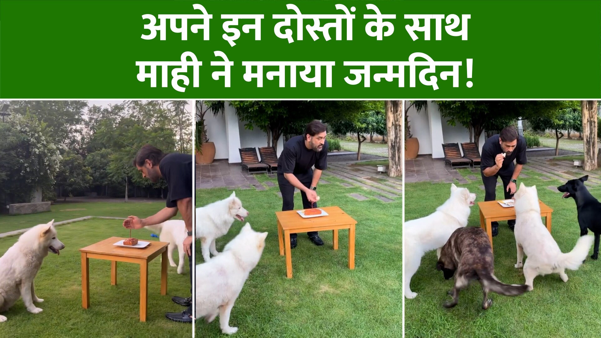 MS Dhoni Celebrates 42nd Birthday with his pet animal cricket lover