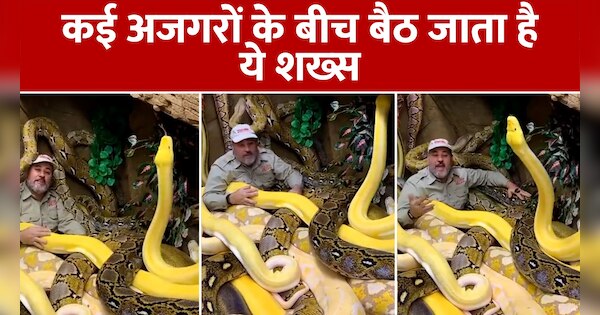 Azgar Ka Viral Video This person sat among many pythons kai azgaro ke sath baith gya yeh saksh ...