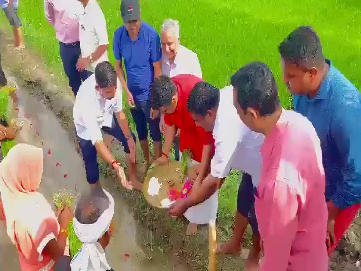 Kaimur DM planted paddy after worshiping field video going viral ...