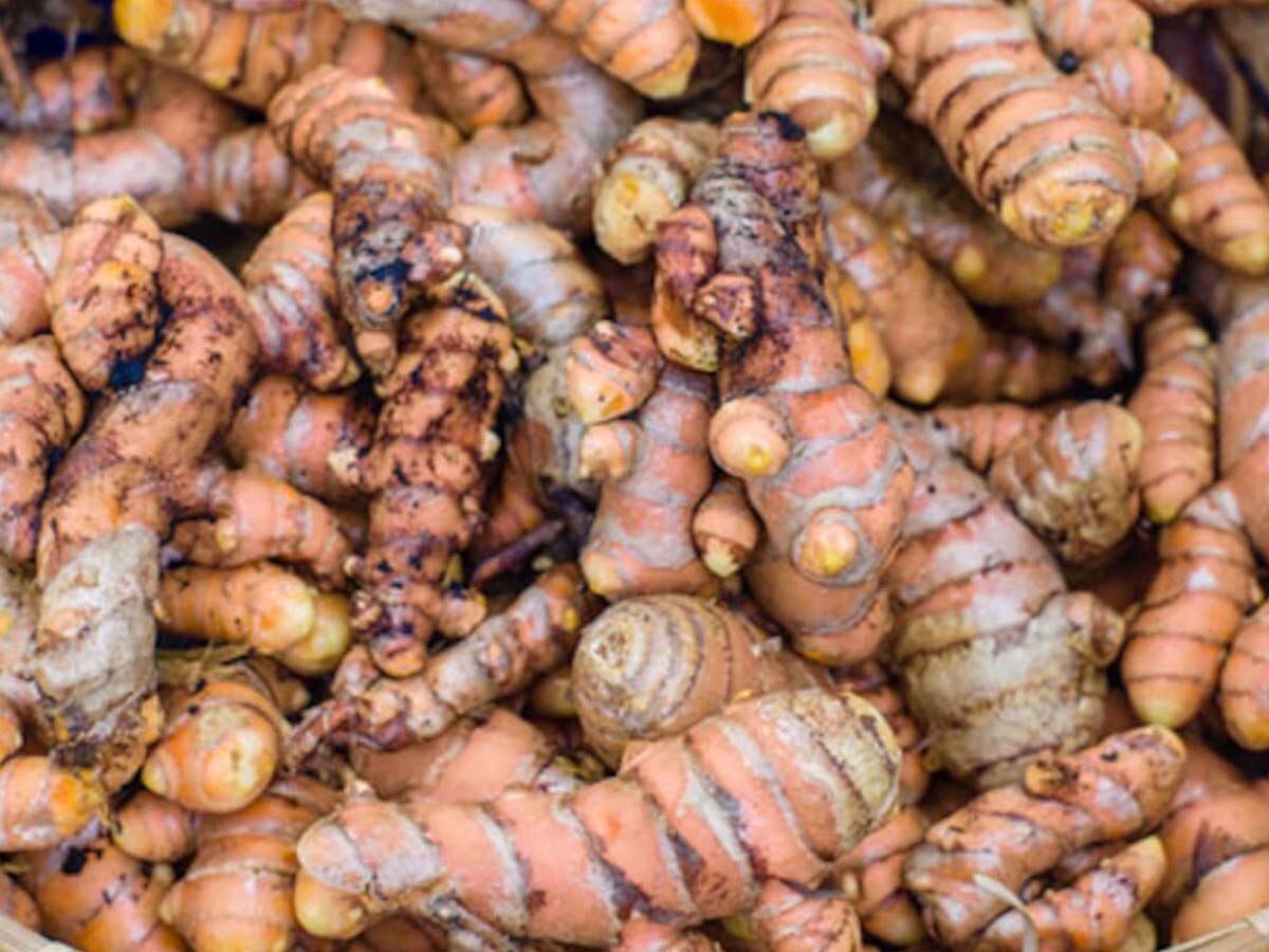 Black Turmeric is more beneficial for health and for men