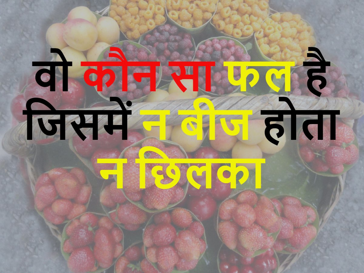 trending GK quiz which is the fruit which has neither seed nor peel ... trending GK quiz which is the fruit which has neither seed nor peel ...