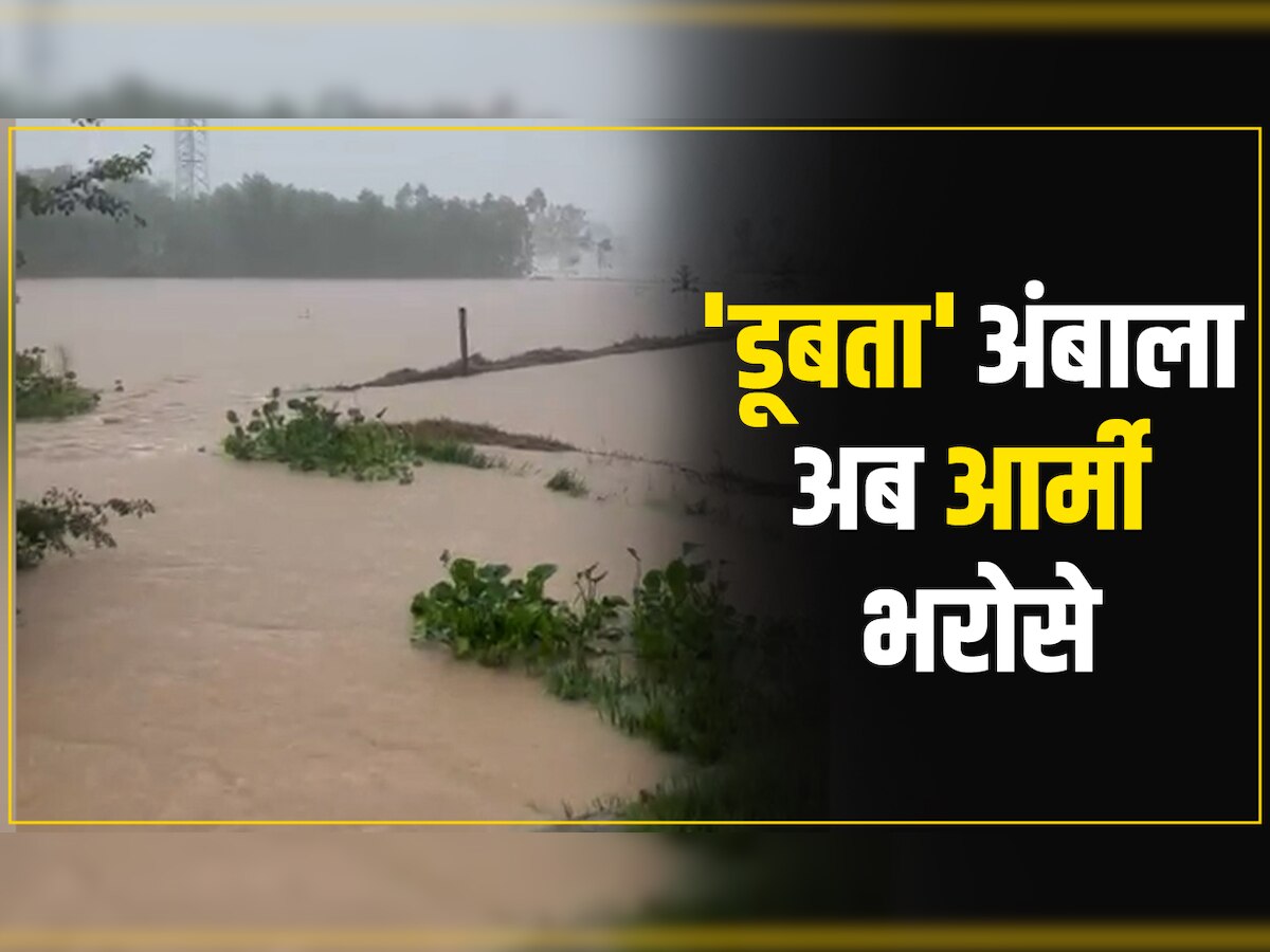 अंबाला में नदियों के बेकाबू होने से खौफनाक हुए हालात, आर्मी और NDRF ने ...