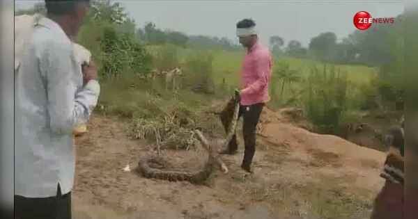 15 feet python created ruckus across villages panic spread among people ...