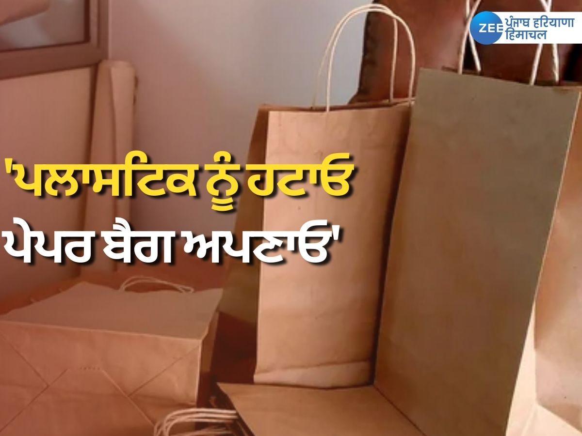 World Paper Bag Day 2023: ਪਲਾਸਟਿਕ ਦੀ ਬਜਾਏ ਪੇਪਰ ਬੈਗ ਦੀ ਕਰੋ ਵਰਤੋਂ; ਜਾਣੋ ...