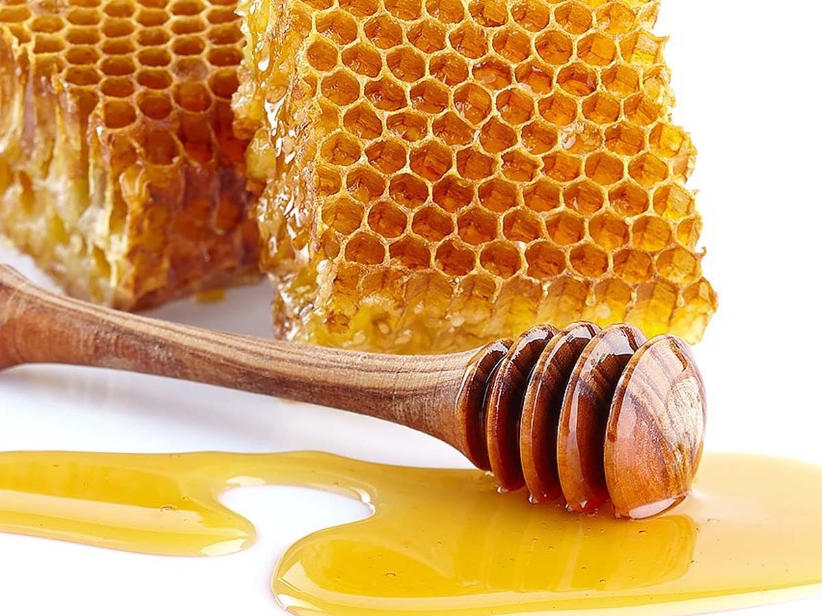 photos reason why honey does not rot scientist tell the reason