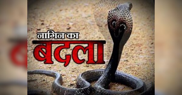 serpent took revenge for killing snake bitten child turned him into ...