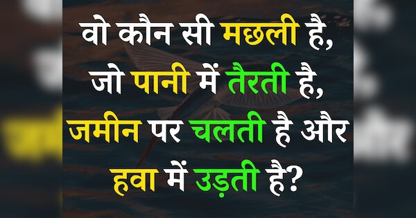 trending gk quiz which is the fish that swims in water walks on land ...