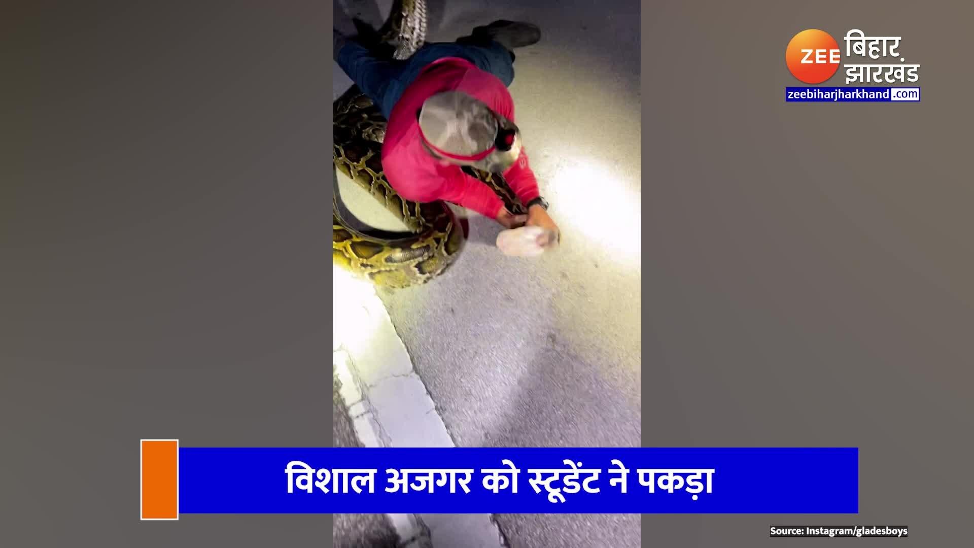 Python Viral Video People Rescue 20 Feet Snake In This Way | Viral ...