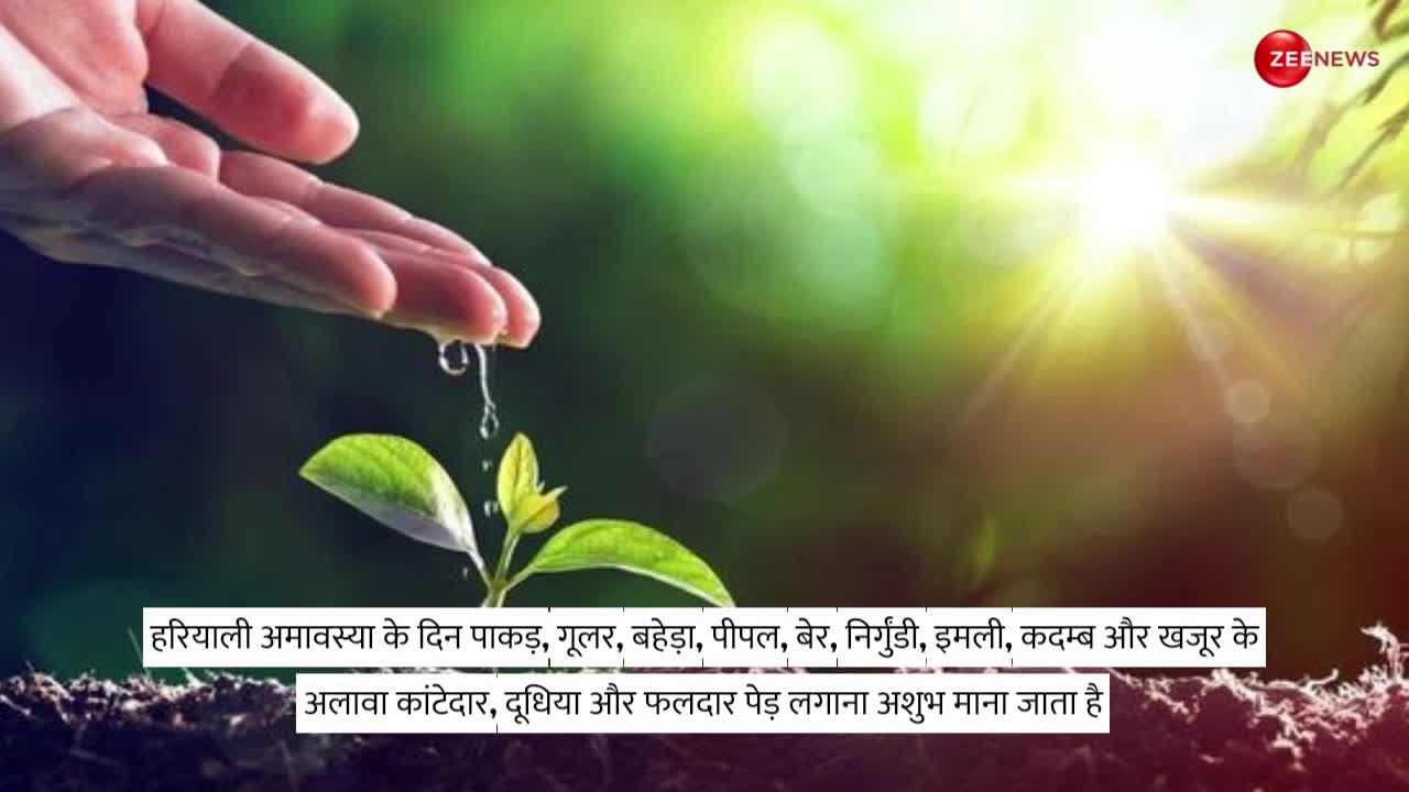 do not plant these plants on the day of hariyali amavasya 2023 ...