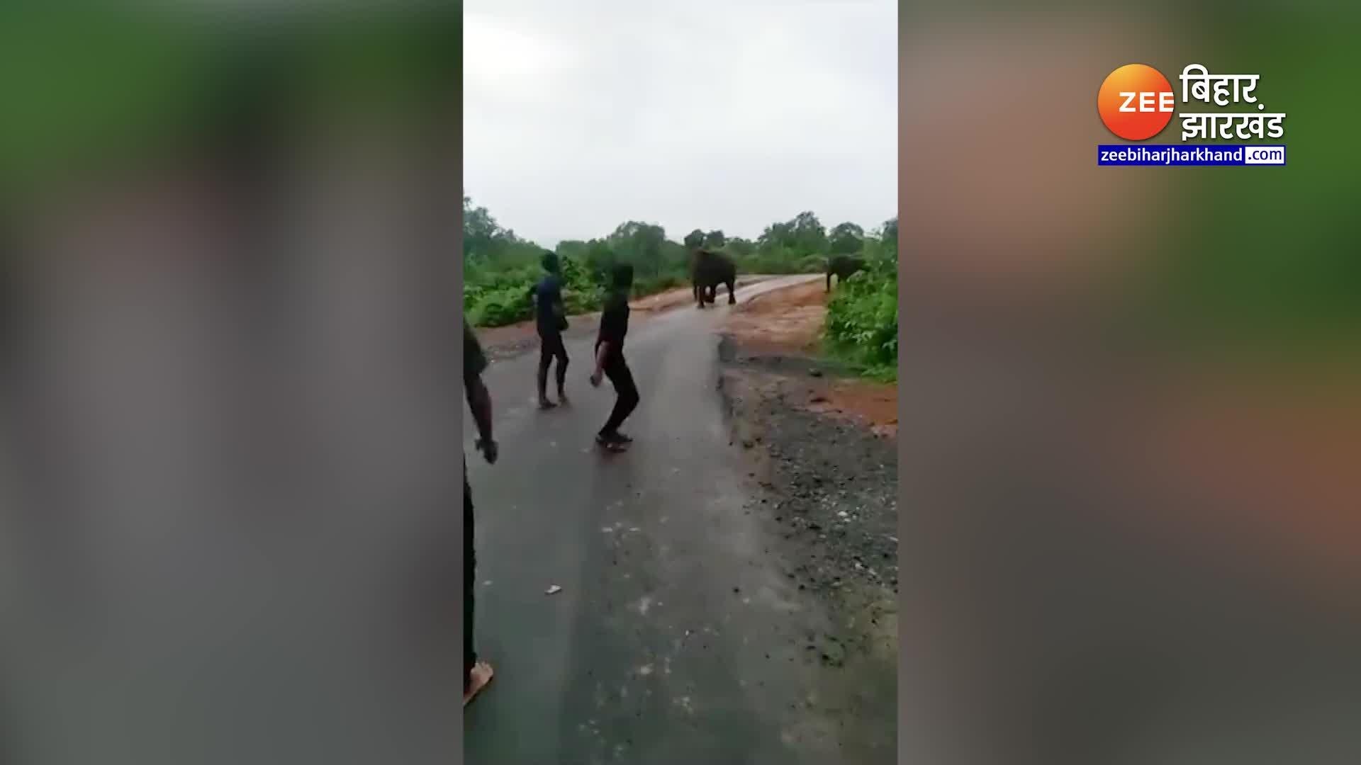 Hathi Ka Video young man seen provoking herd of elephants crossing the ...