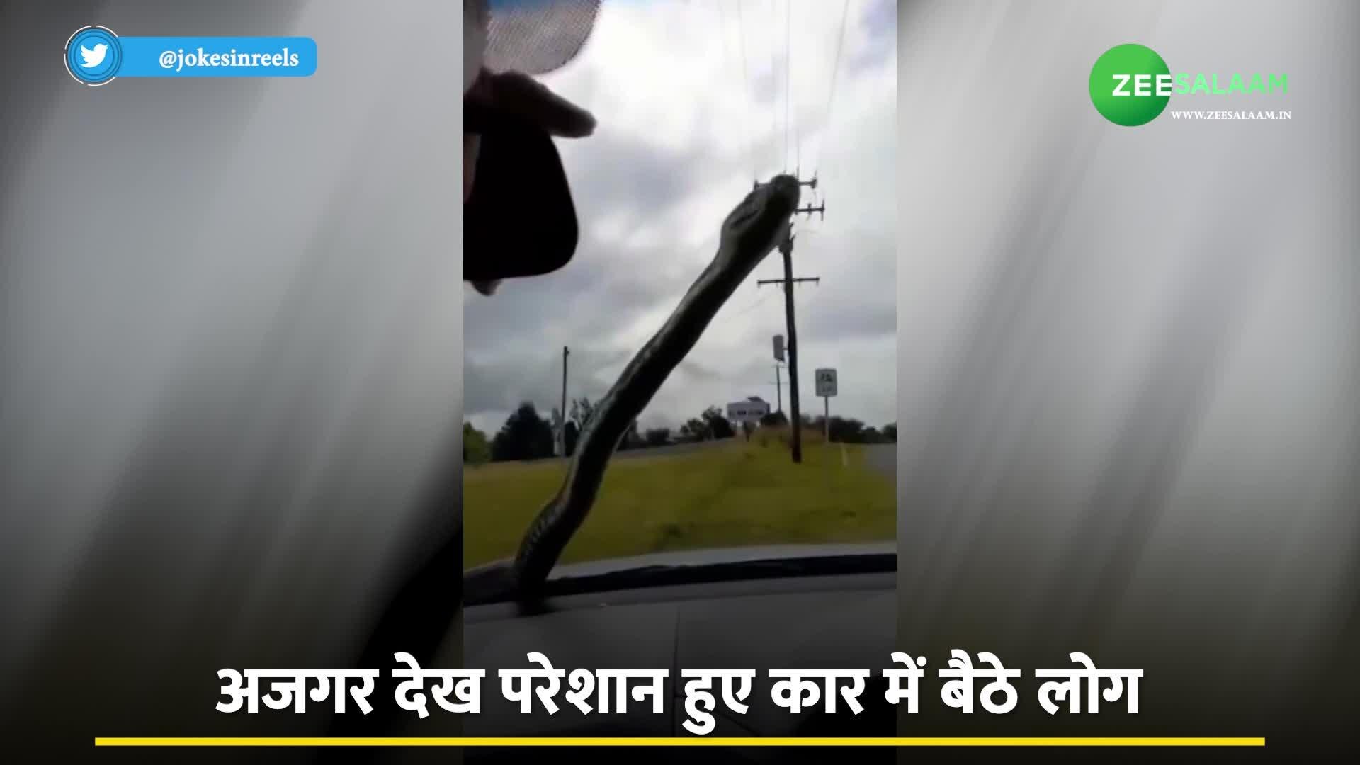 Phython enter in running car people shocked to see this incident ...