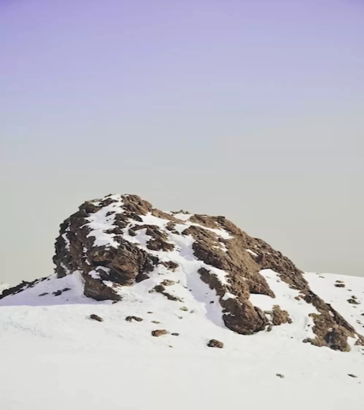 optical illusion test find hidden within 7 seconds Snow Leopard khojo ...