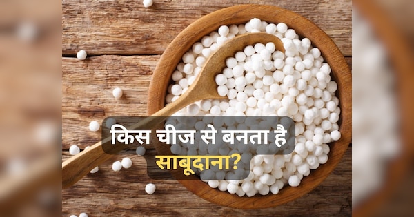 which product is used to make sabudana Sago tapioca | Sabudana Making ...