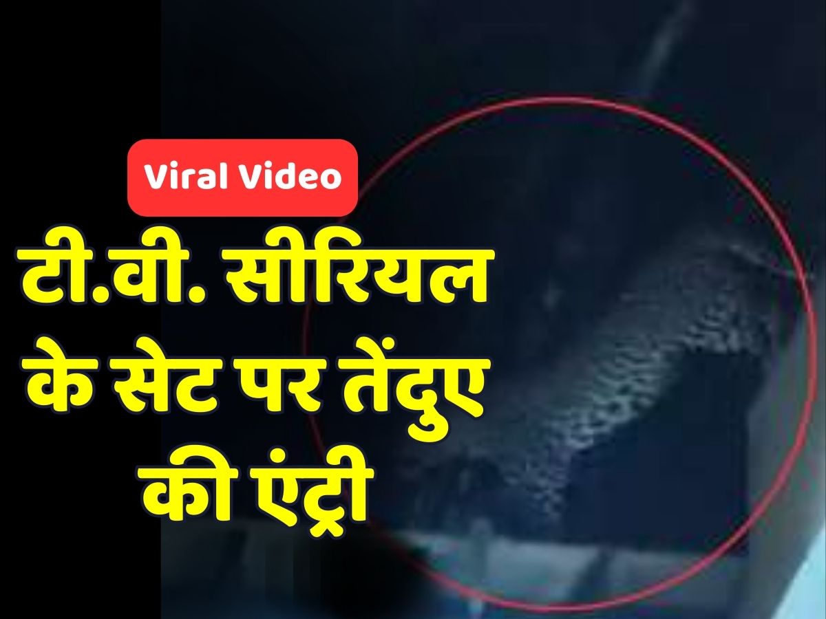 Tendua Ka Video Leopard entered the set of the serial In Film City ...