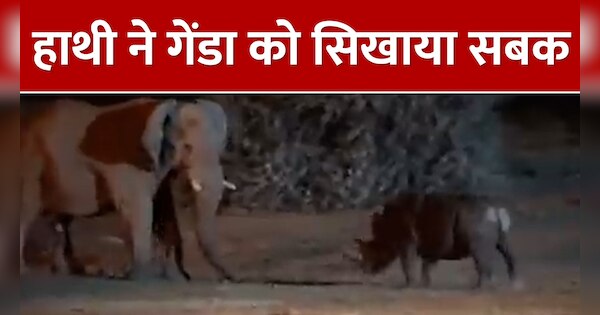 Hathi Gende Ki Ladai watch clash of the titans featuring elephant and rhino-Hathi Gende Ki Ladai ...