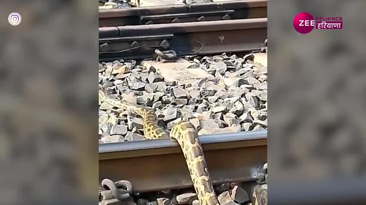 Python seen crossing train track rail ki patri par bhaga saanp video ...