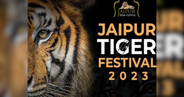Rajasthan News Jaipur Tiger Festival from July 29wildlife photographers ...