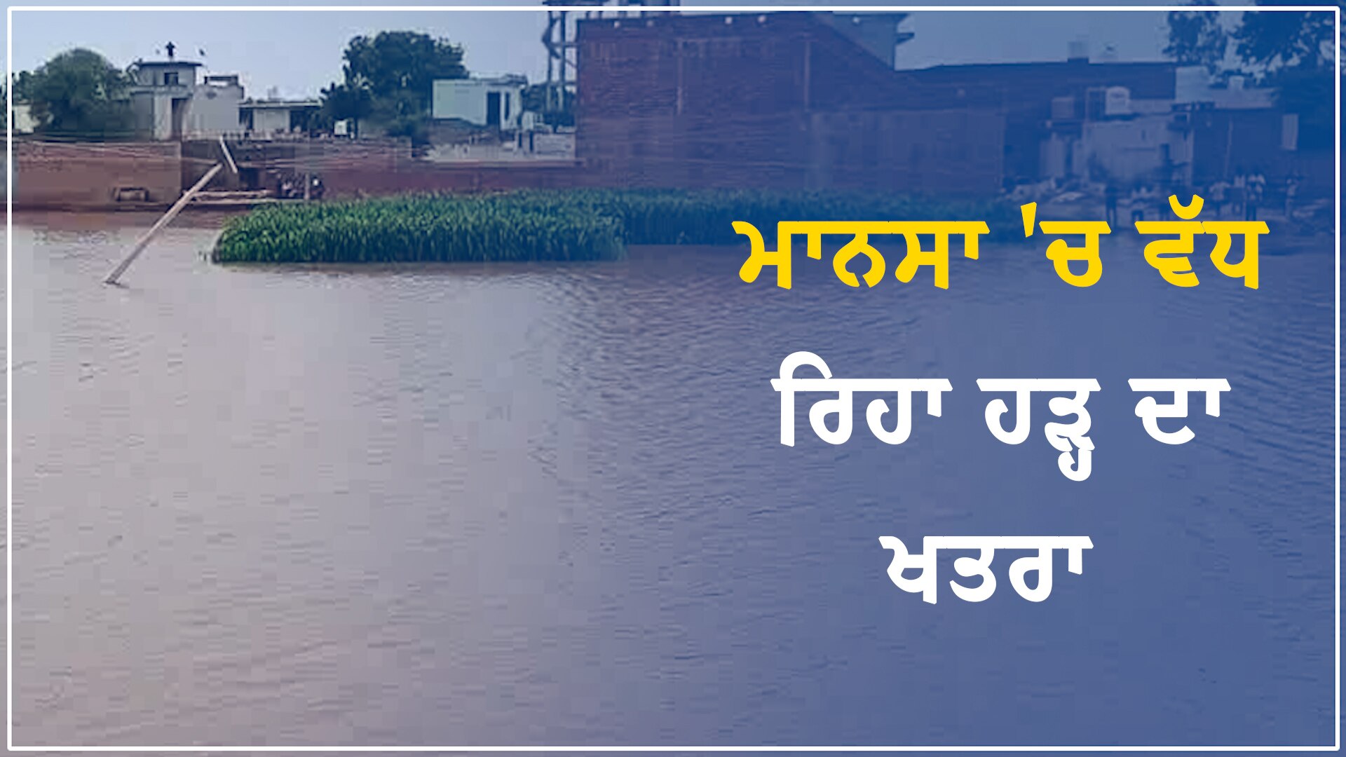 punjab flood news 100 feet breach in ghaggar river flood alert in ...