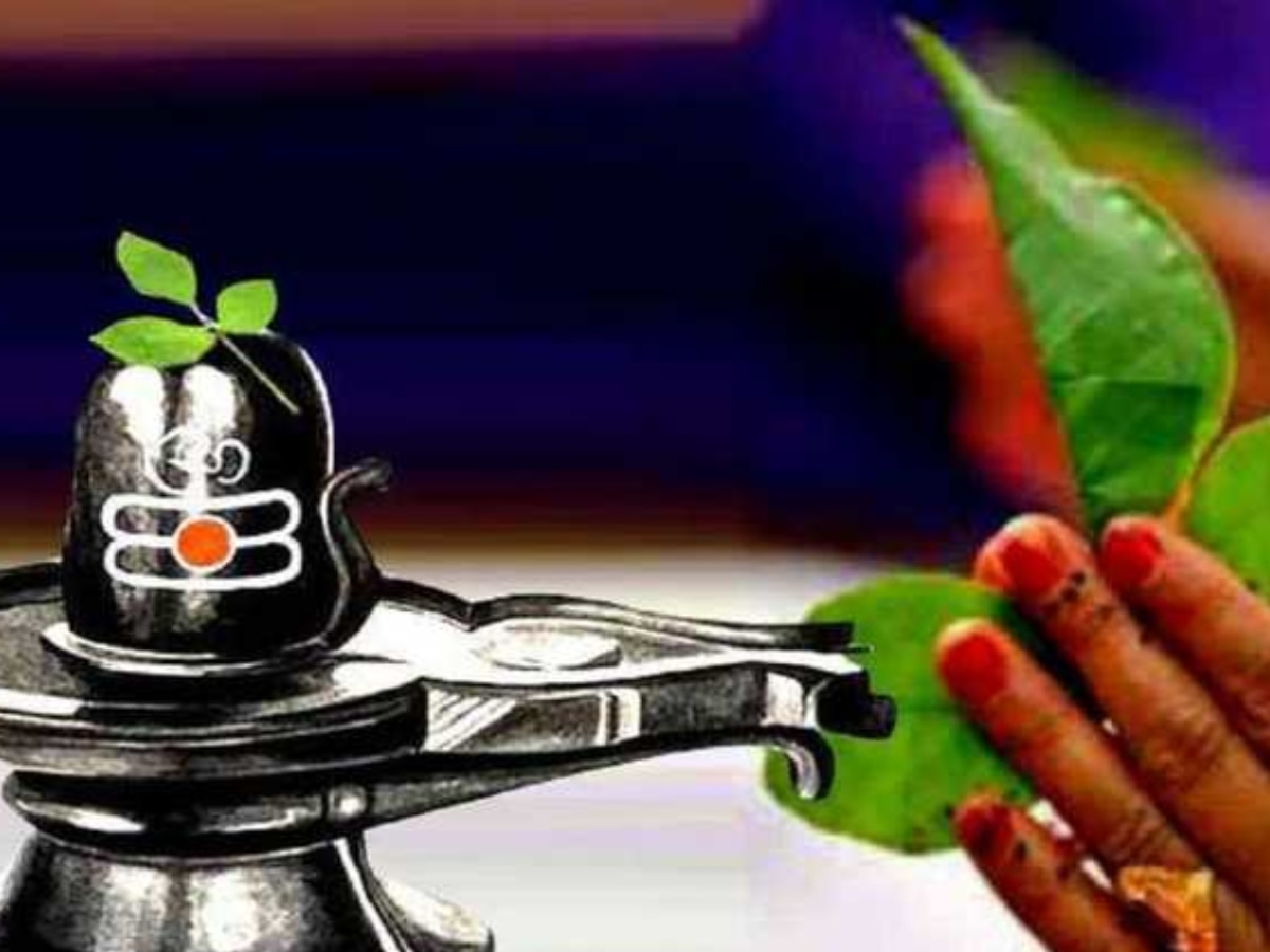 Sawan ke upay belpatra rules in hindi how to offer bel patra on ...