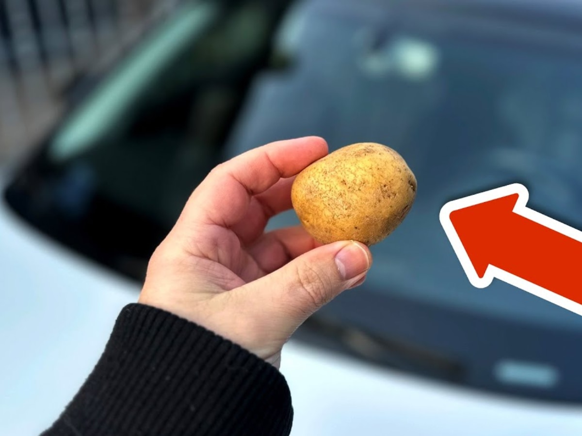 How to Keep Car windows water Free Using a Potato । Car Tips: कार के ...