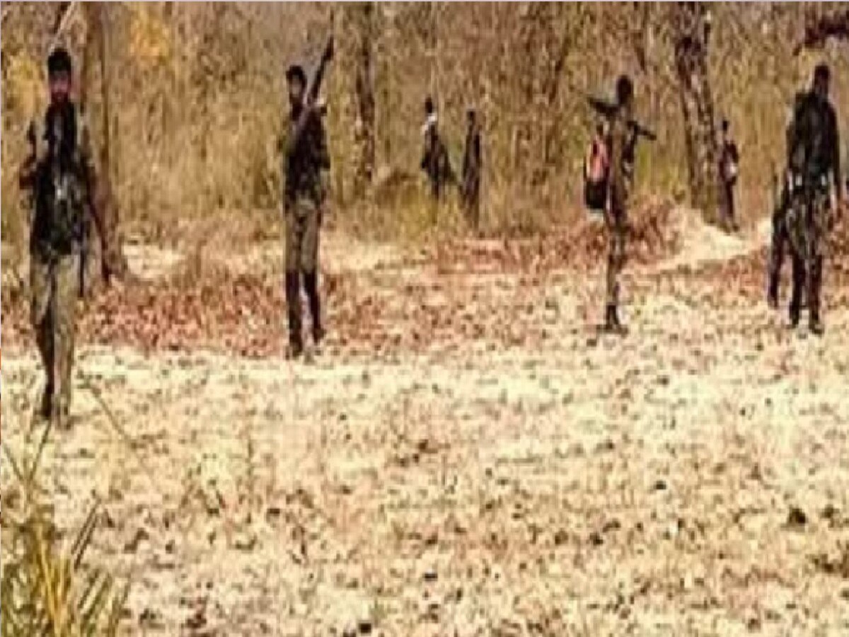 Naxalites killed a person in Latehar | Latehar News: नक्सलियों ने एक ...
