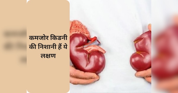 health tips sing of weak kidney symptoms of weak kidney | Weak Kidney ...