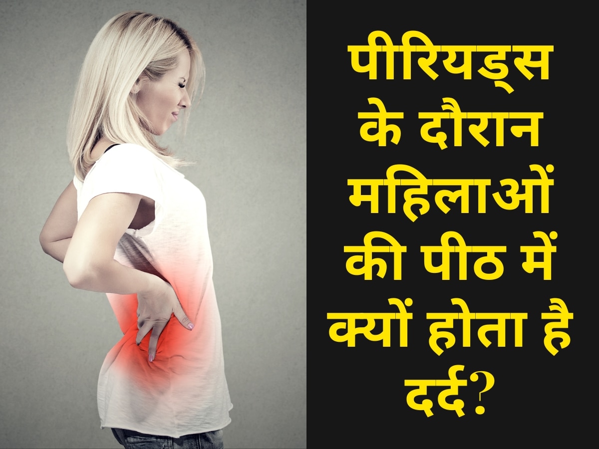 Women's Health: why women experience back pain during menstrual cycle ...