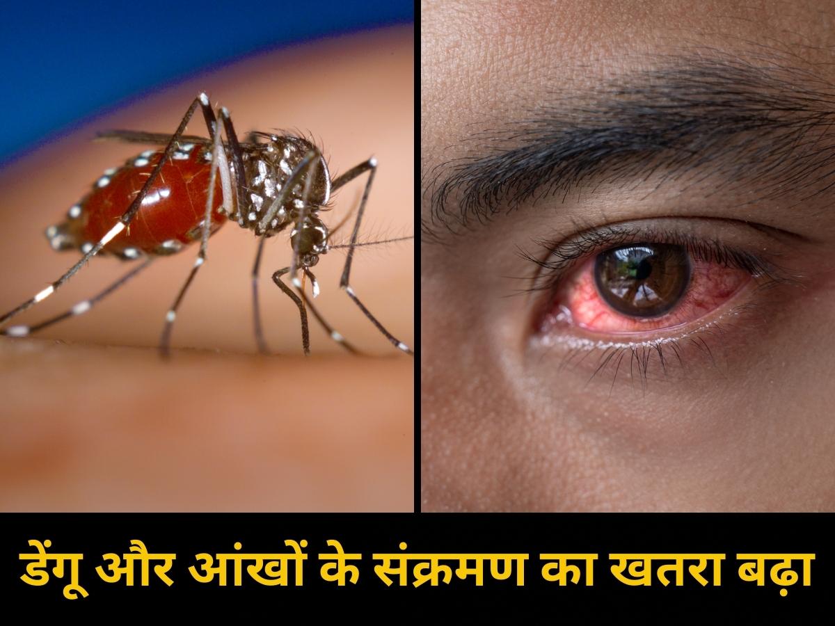 Dengue and eye infection spreading rapidly in Delhi after yamuna flood ...