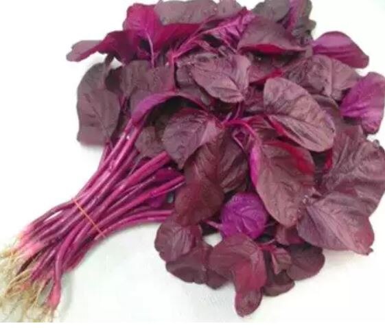 red spinach health Will protect against kidney liver diseases, know lal ...