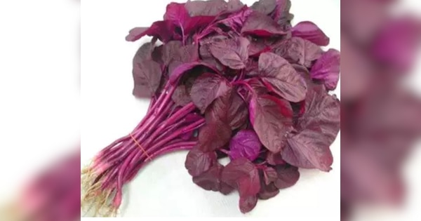 red spinach health Will protect against kidney liver diseases, know lal ...